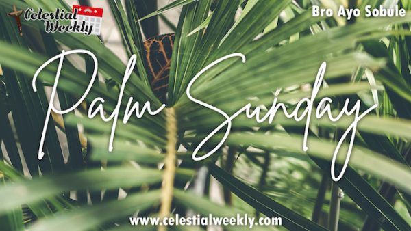 Palm Sunday – Celestial Weekly