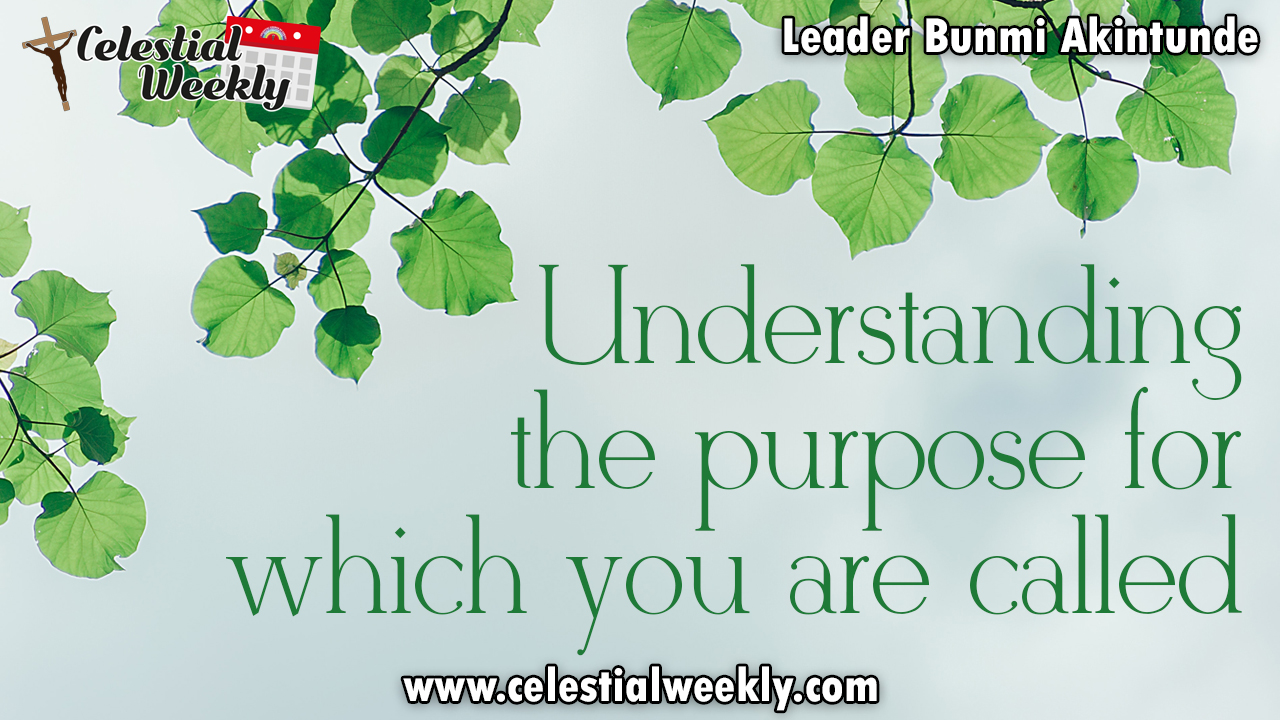 Understanding the Purpose for which God has called us – Celestial Weekly
